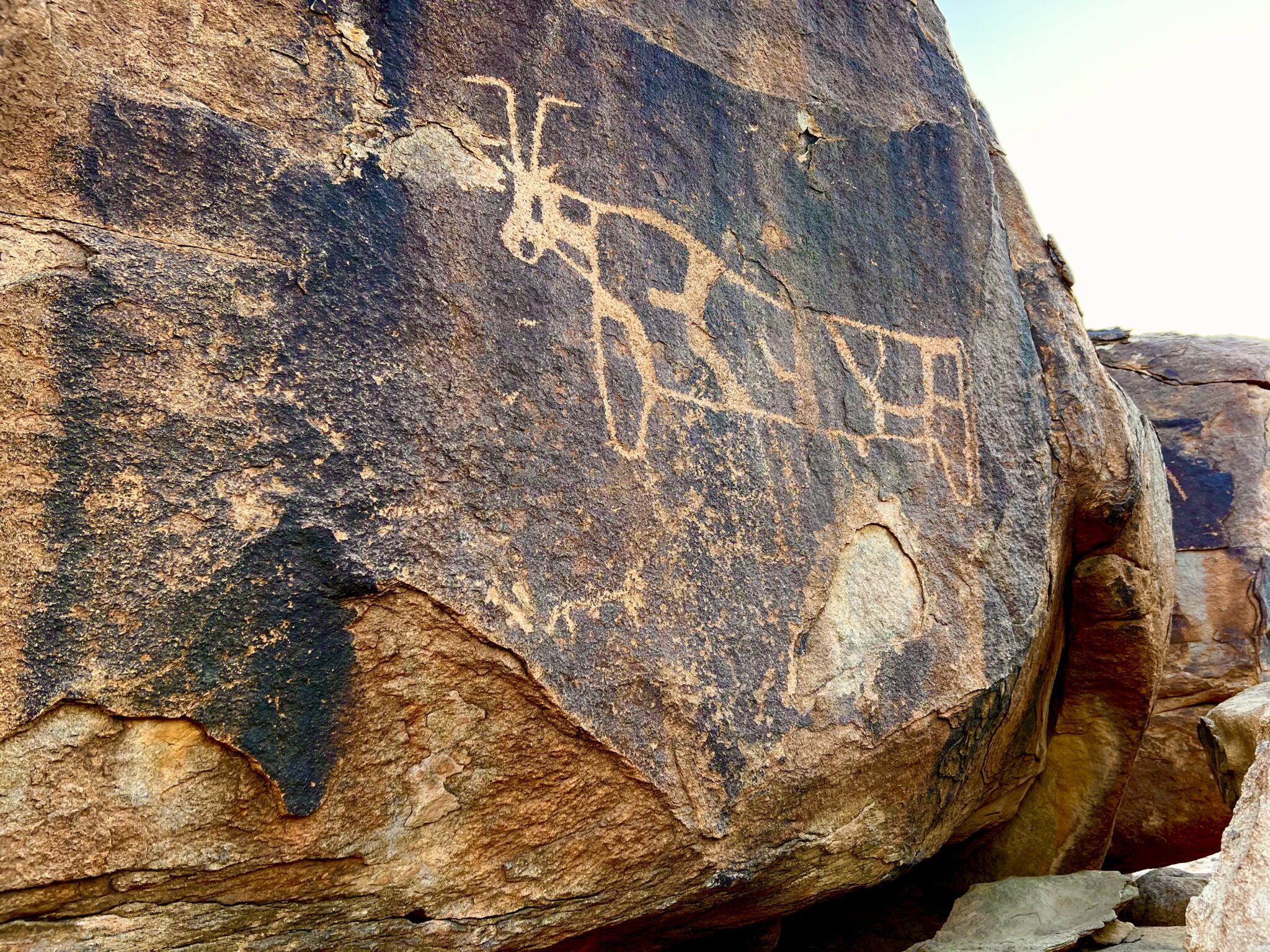 Mount Sinai Tours - Mount Sinai Tours