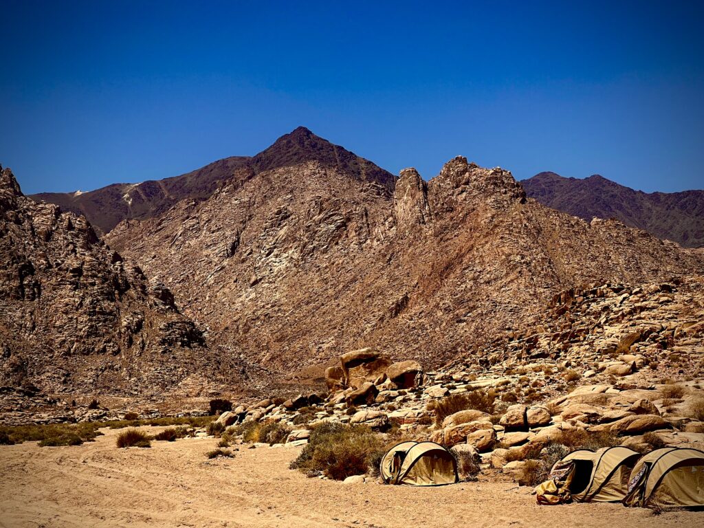 Mount Sinai Tours - Mount Sinai Tours